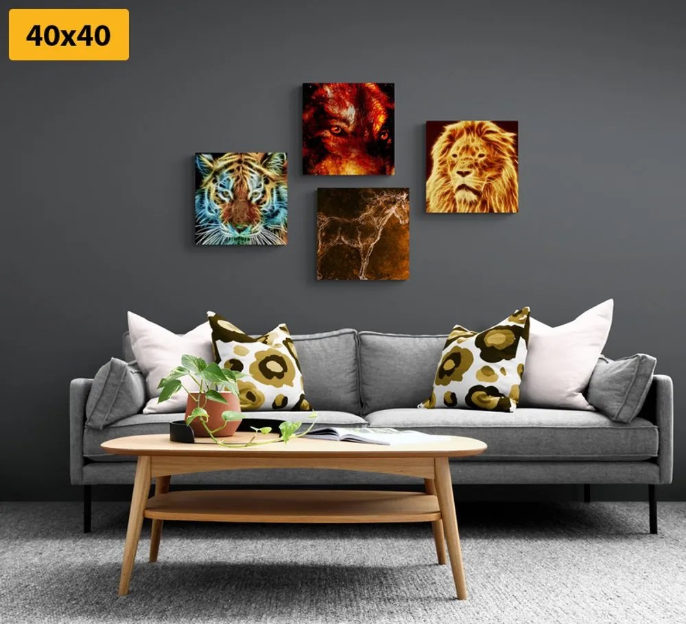 Set obrazů tajemná abstrakce zvířat Varianta: 4x 60x60