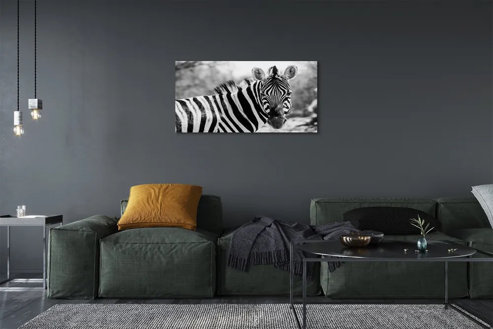 Obrazy na plátně retro zebra 140x70 cm