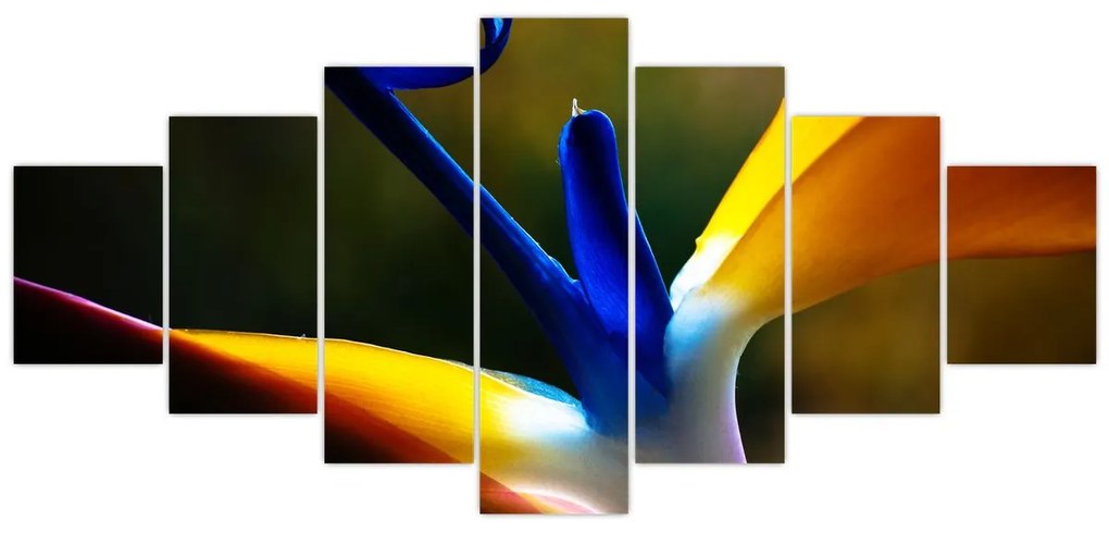 Obraz - Exotický květ (210x100 cm)