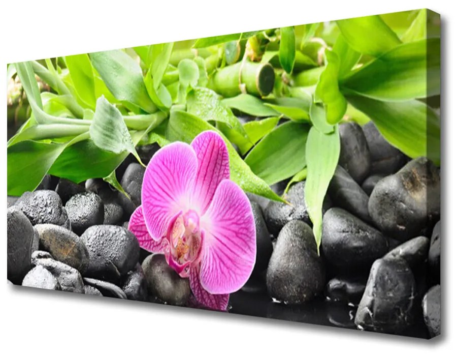 Obraz na plátně Květiny Orchidej Kameny Zen 120x60 cm