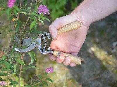 Nůžky zahradnické, kované|Esschert Design