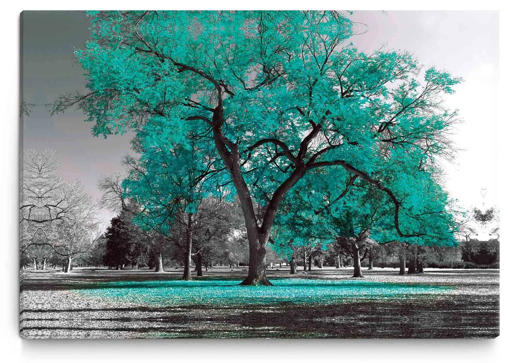 Malvis ® Obraz podzim v parku - zelený Velikost (šířka x výška): obdélník - 120x80 cm