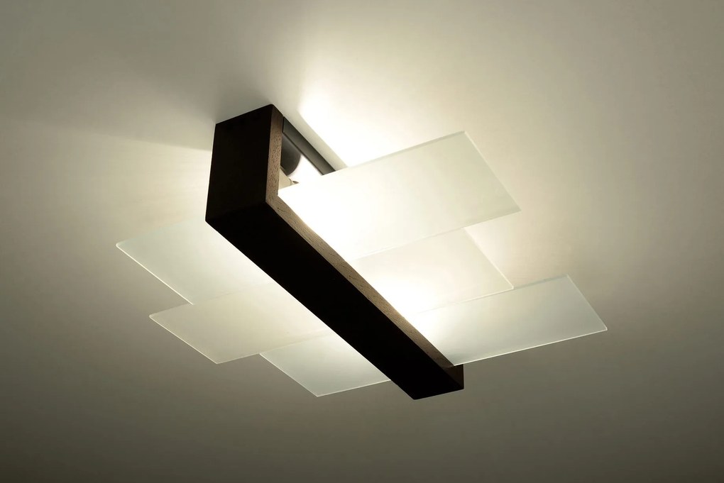 SOLLUX LIGHTING Stropní moderní osvětlení FENIKS 2, 2xE27, 60W, tmavě hnědé SL.0074