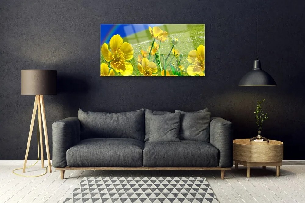 Obraz na skle Louka Květiny Duha Příroda 120x60 cm