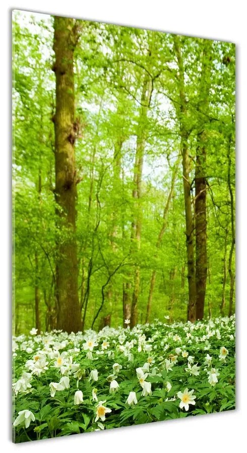 Wallmuralia Vertikální Foto obraz fotografie na skle Květy v leze 50x100