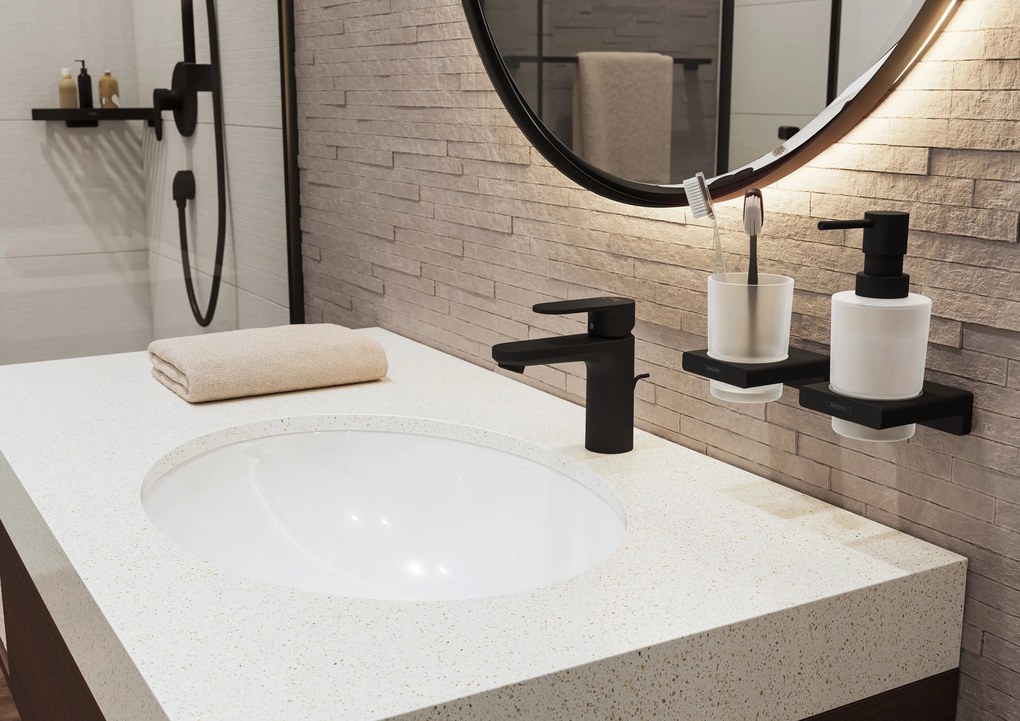 Hansgrohe AddStoris, nádobka na ústní hygienu, matná černá, HAN-41749670