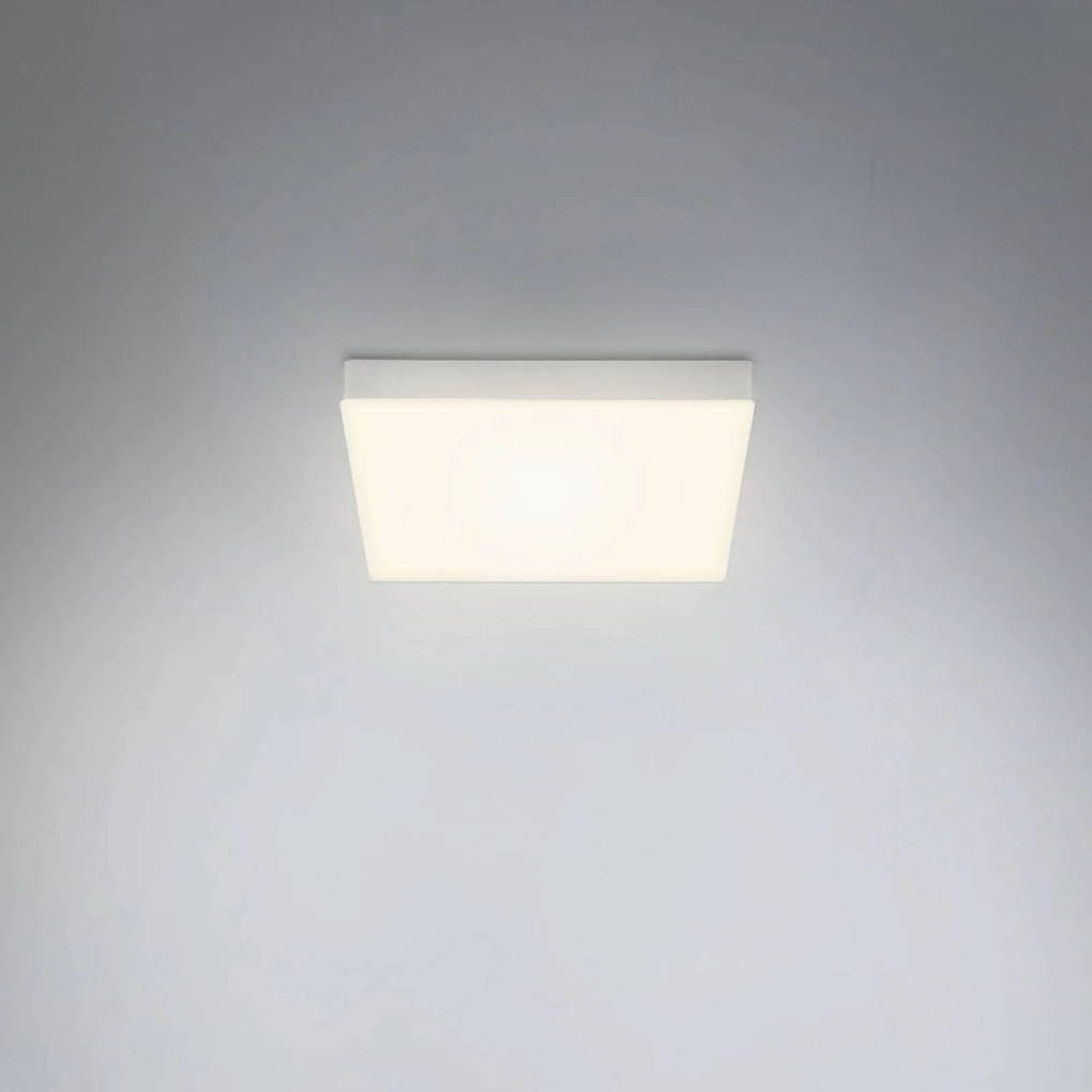 Stropní svítidlo LED Flame, 21,2 x 21,2 cm, stříbrné