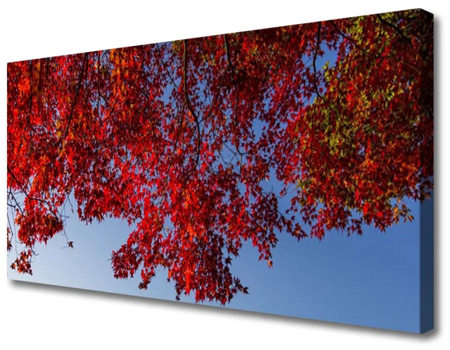 Obraz na plátně Strom Listy Větve Příroda 120x60 cm