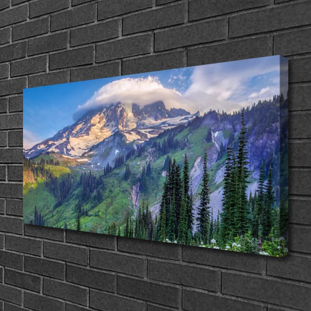 Obraz na plátně Hora Les Krajina 140x70 cm