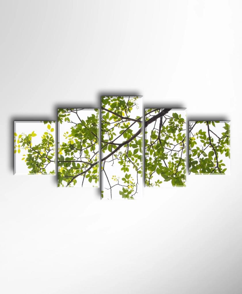 Malvis ® Obraz větev stromu ROZMĚR (šířka x výška): čtyřdílný čtverec 80x80 cm