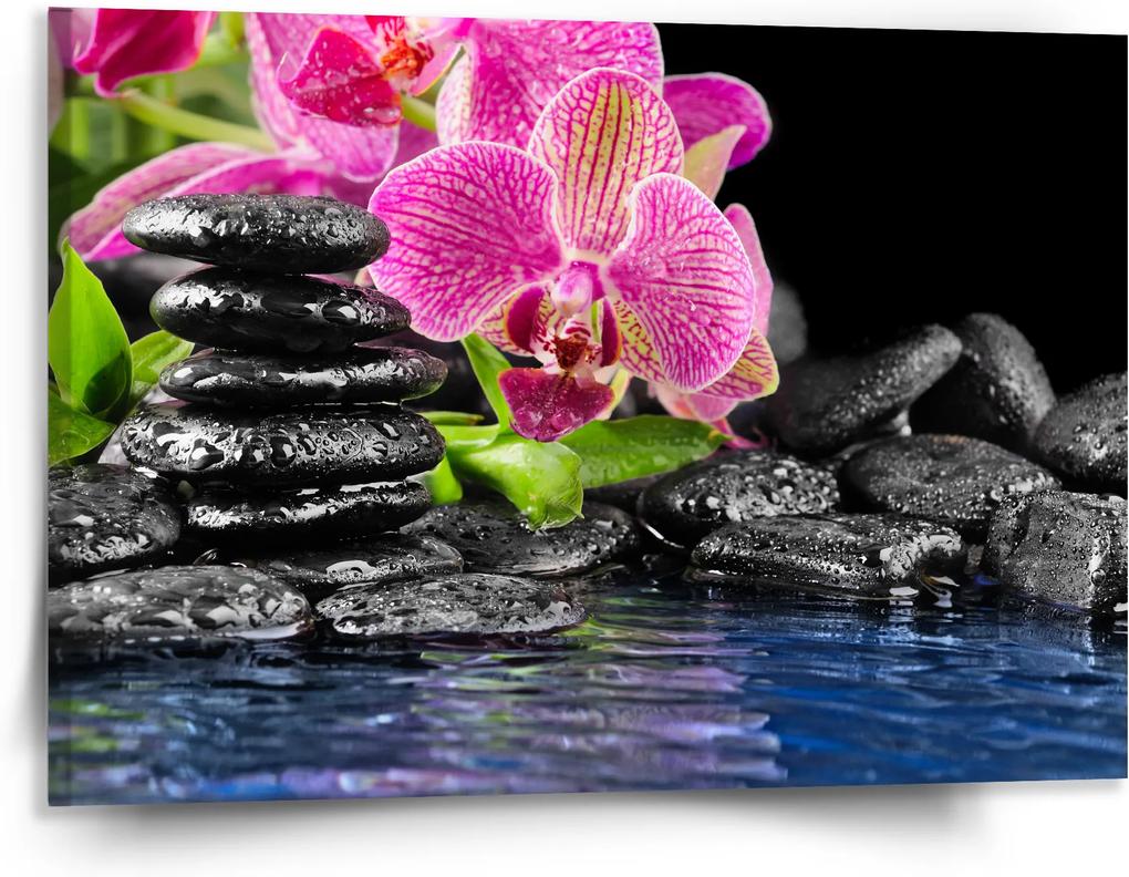 Obraz SABLO - Orchidej na kamenech 50x50 cm
