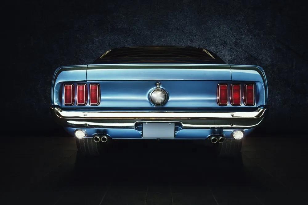 Vícedílný obraz Zadní Část Starého Fordu Mustang Nedostatek Nedostatek Přírodní plátno 60x40
