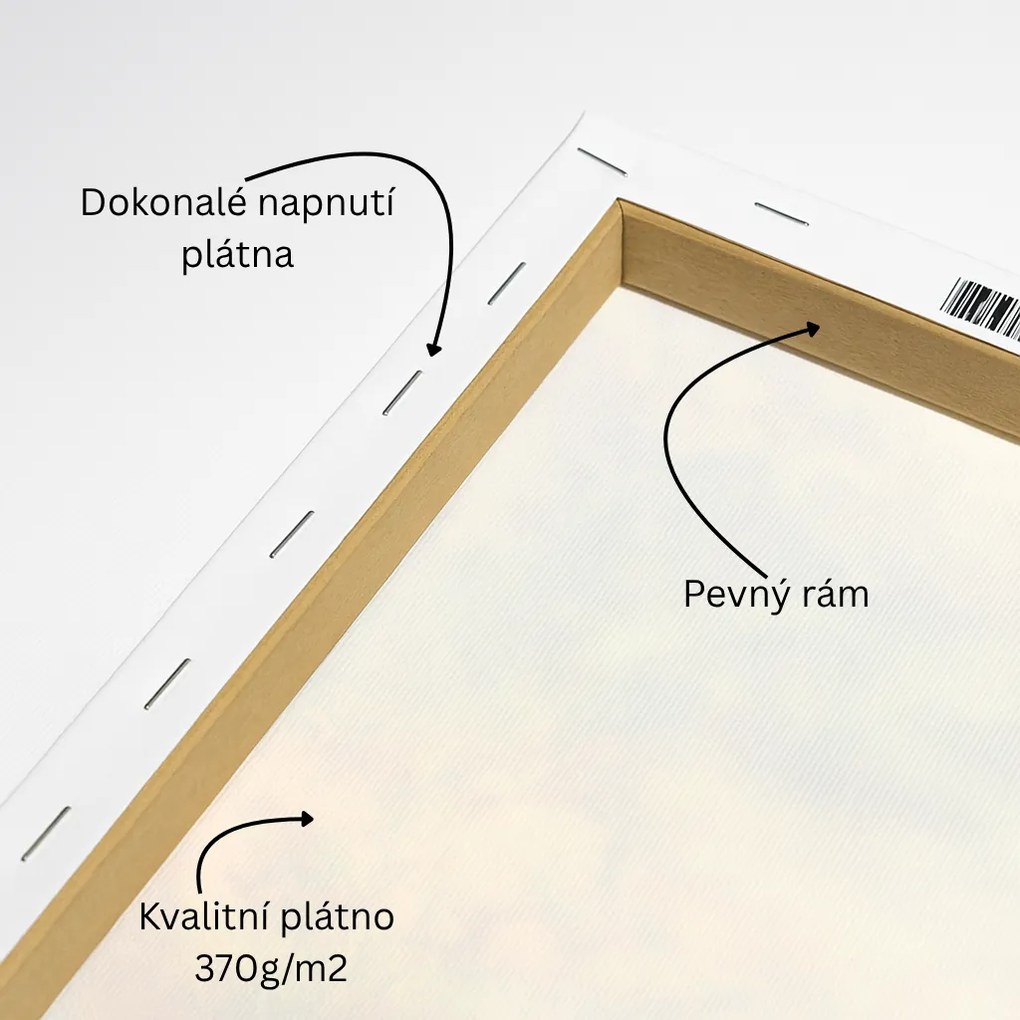 CitArt.cz Nejlepší paní učitelka – možná jednou zapomenu něco z toho, co jste mě naučila. Na Vás ale nezapomenu nikdy Děkuji Motiv: Jarní louka, Velikost: 30x40 "A3"