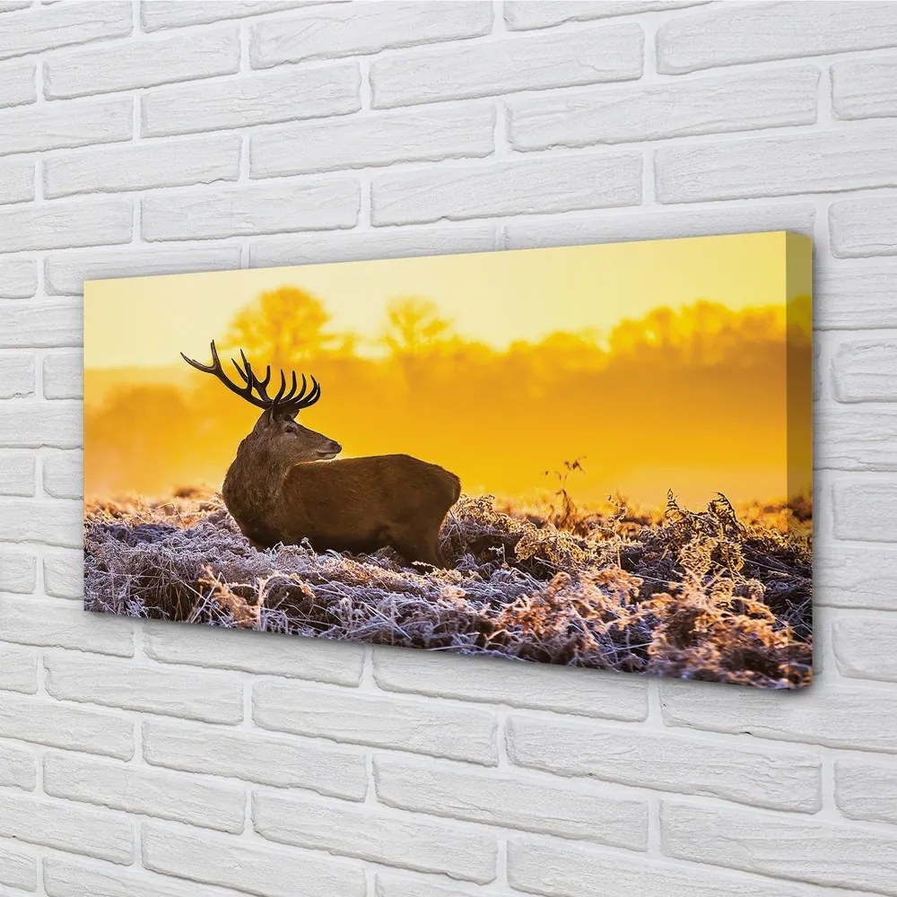 Obrazy na plátně Jelen zimní slunce 120x60 cm