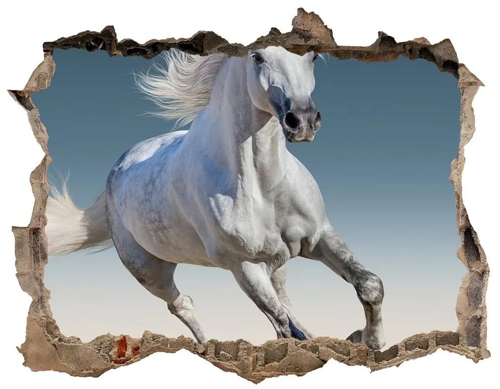 Wallmuralia Fototapeta díra na zeď Bílý kůň ve cvalu 95x64 cm