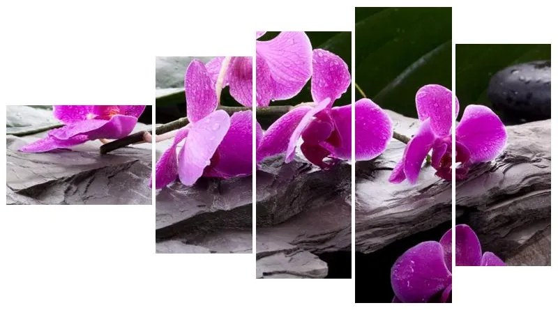 Obraz fialových orchidejí na kameni (110x60 cm), 40 dalších rozměrů