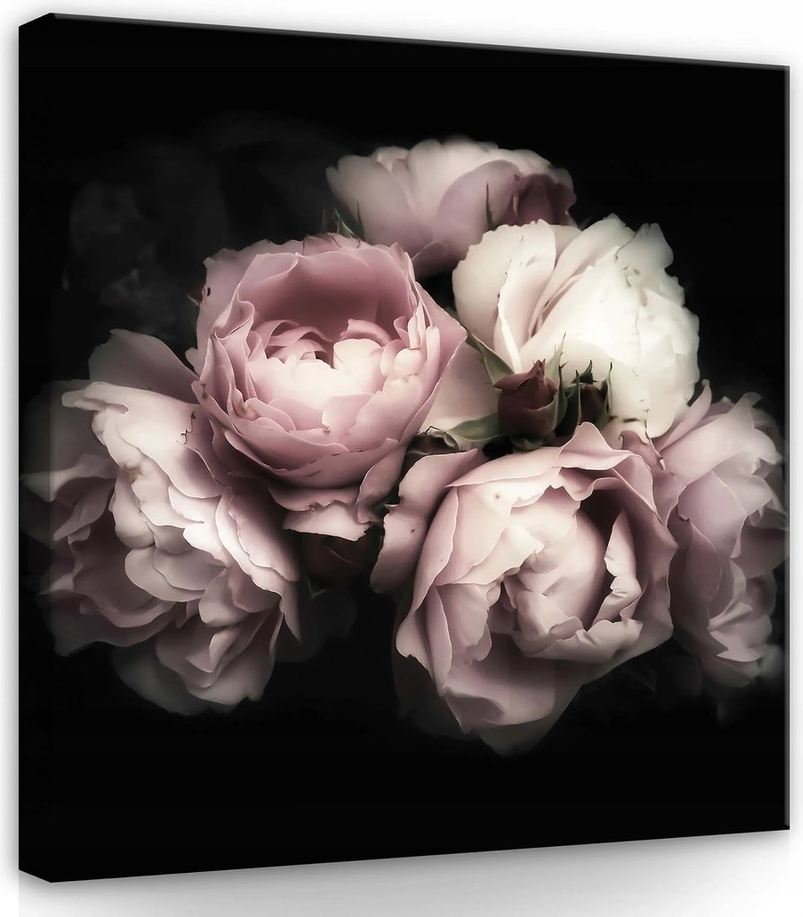 Obraz 80x80 Jemnost jemnost romantika pivoňky růže kytice příroda