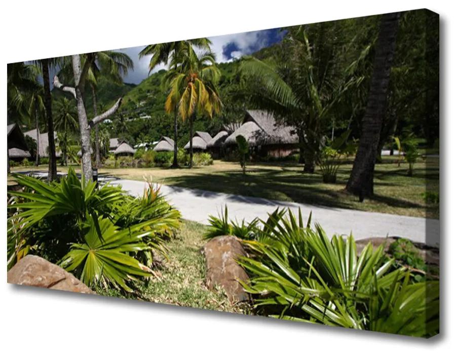 Obraz na plátně Listy Palmy Stromy Příroda 100x50 cm