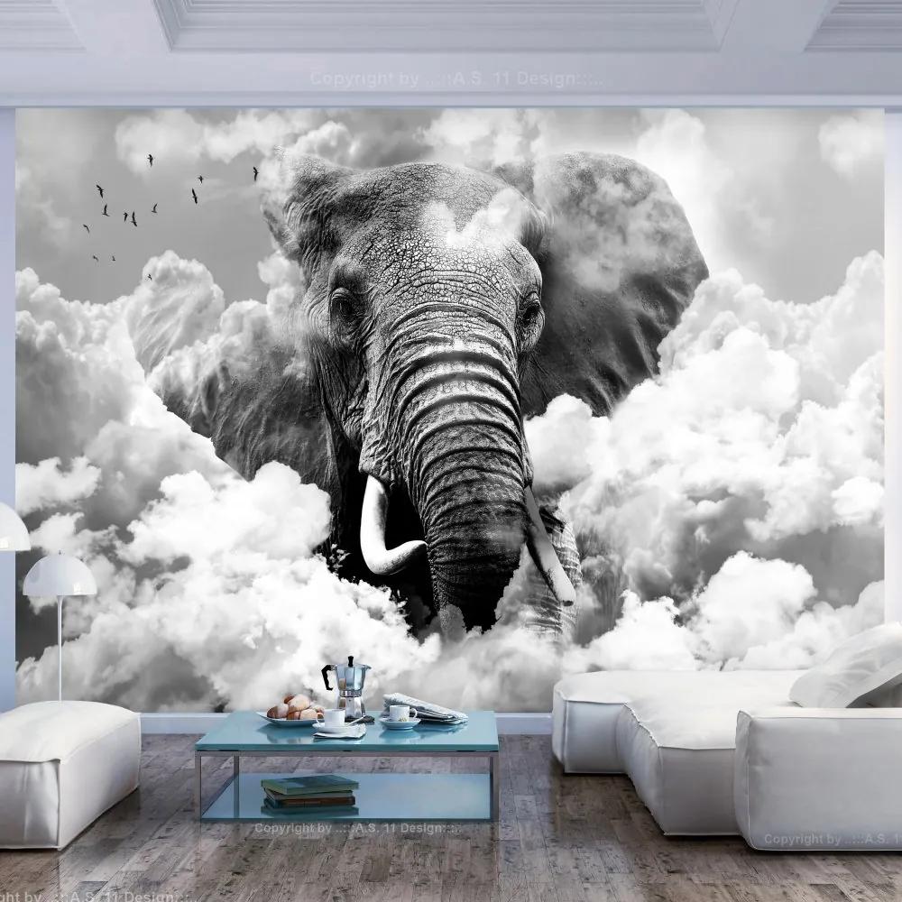 Fototapeta - Slon v oblacích (černobílý) 200x140 + zdarma lepidlo