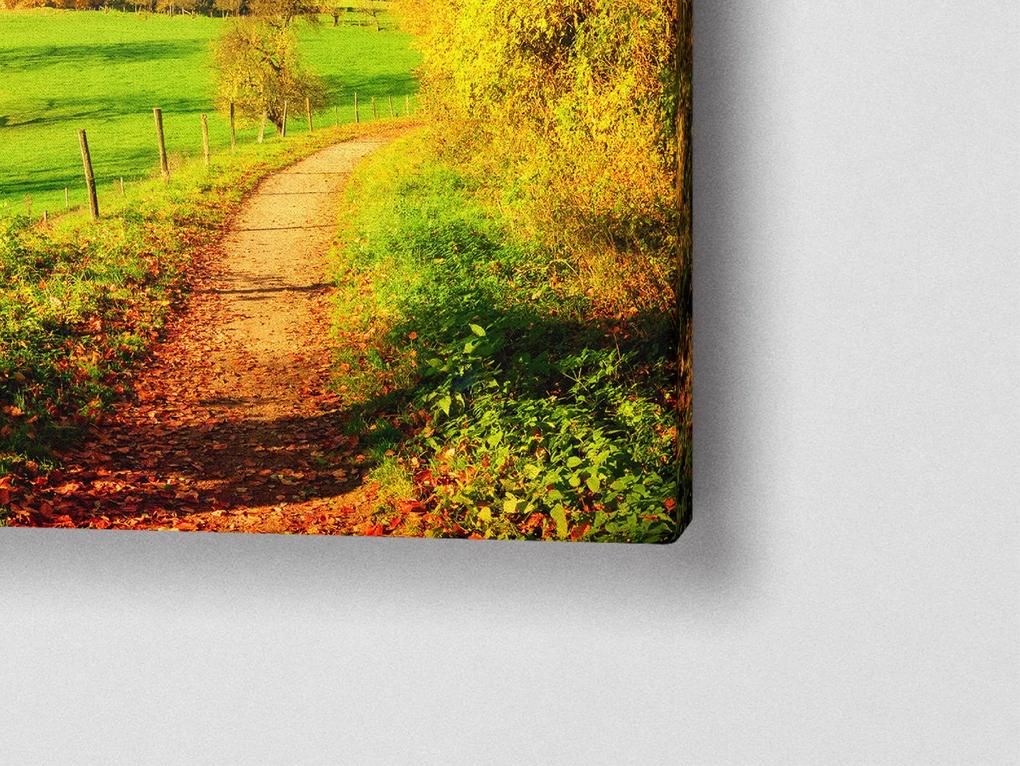 Liox Obraz pešina z lesa Rozměr: 125 x 50 cm