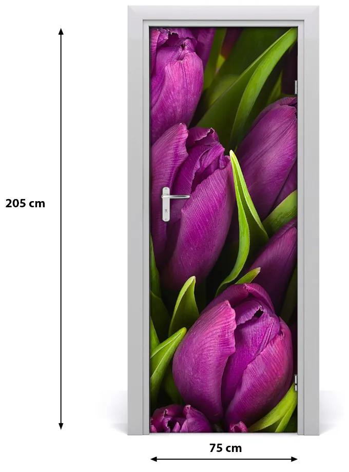 Fototapeta samolepící fialové tulipány 75x205 cm