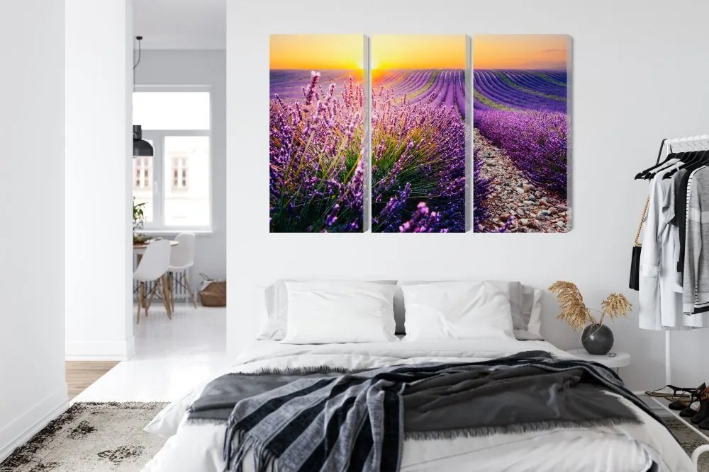 Vícedílný obraz Levandulové Pole Při Západu Slunce 3D Nedostatek Nedostatek Plátno Canvas 120x80