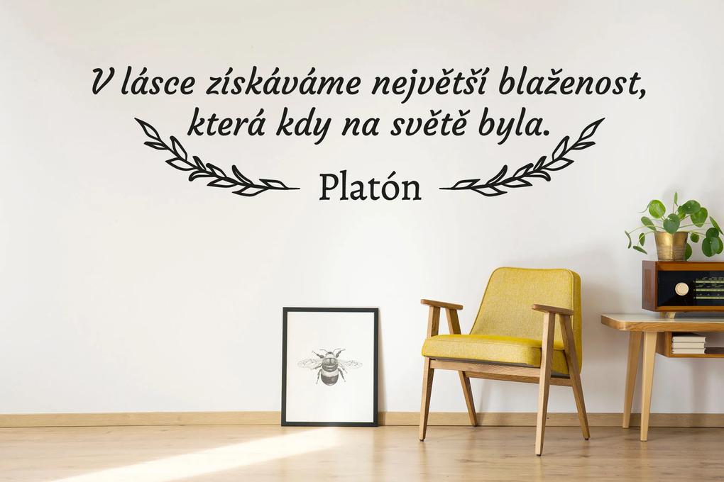 Lepy.cz Samolepka na zeď Platón citát Velikost (šířka x výška): 80x20cm, Barevná varianta: Nugátová hnědá