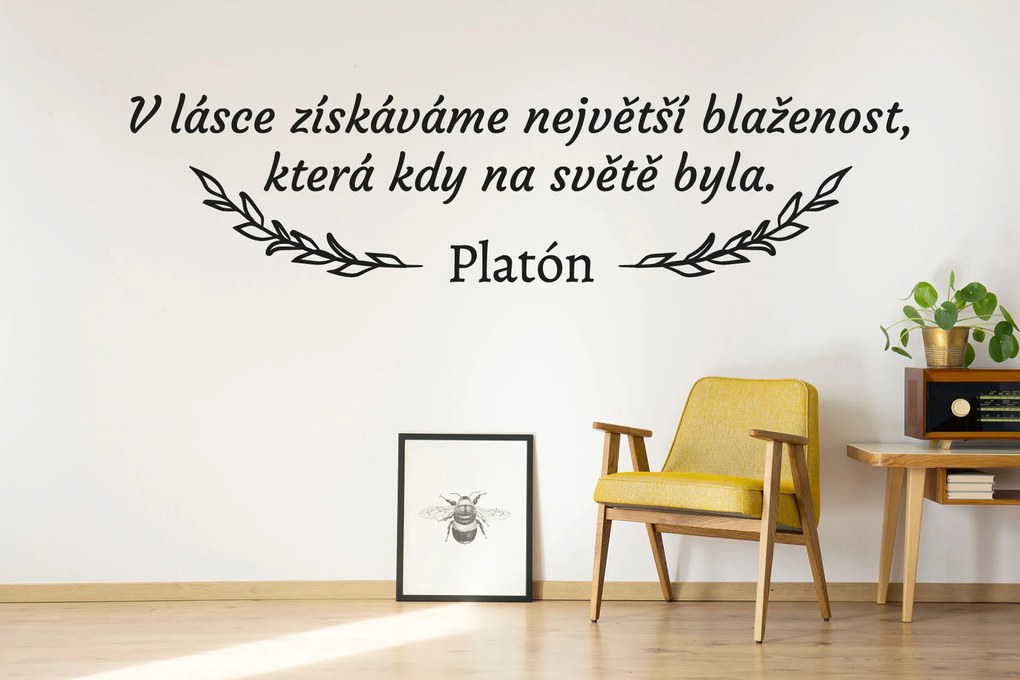 Lepy.cz Samolepka na zeď Platón citát Velikost (šířka x výška): l70x41cm, Barevná varianta: Tmavě šedivá