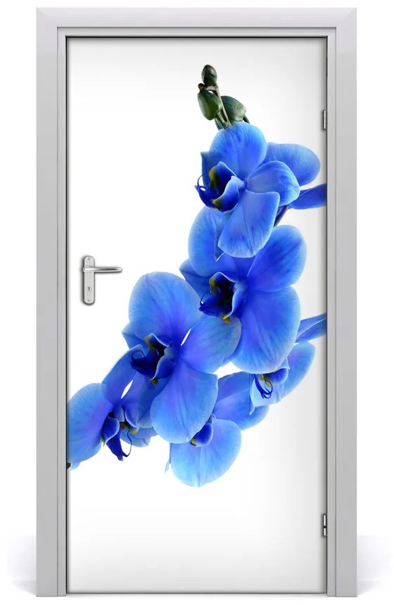 Fototapeta samolepící modrá Orchidejo 85x205 cm