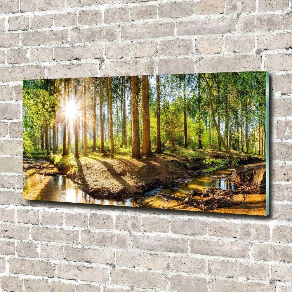 Wallmuralia Foto obraz sklo tvrzené Panorama les 140x70 cm