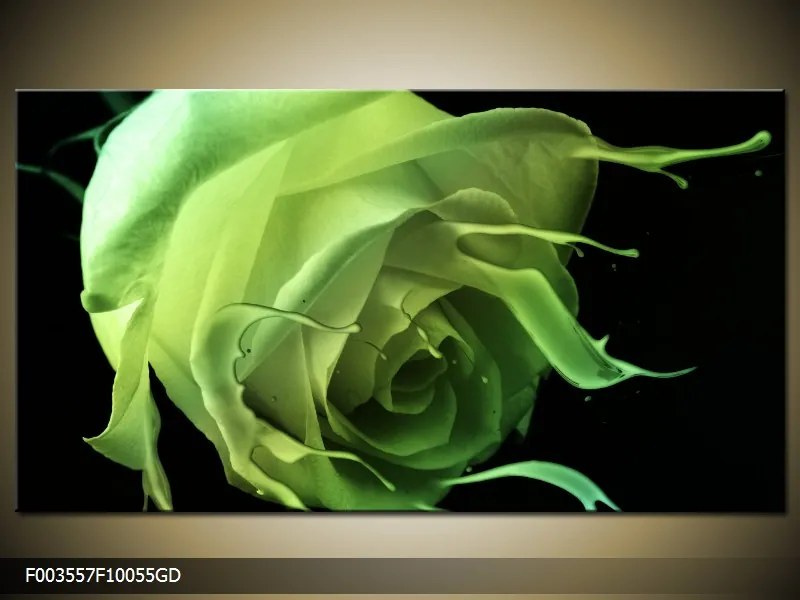 Moderní obraz zelené růže  (), 40 dalších rozměrů
