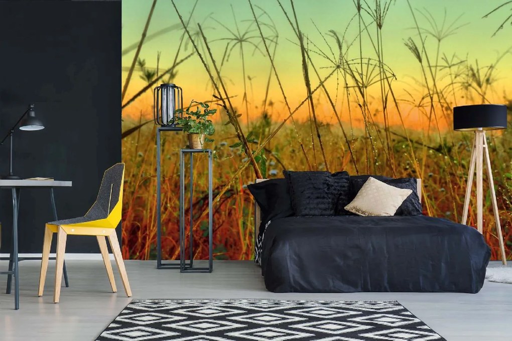DIMEX | Samolepicí vliesová fototapeta na zeď Plevel MA-5-1354 | 375 x 250 cm | zelená, žlutá, oranžová