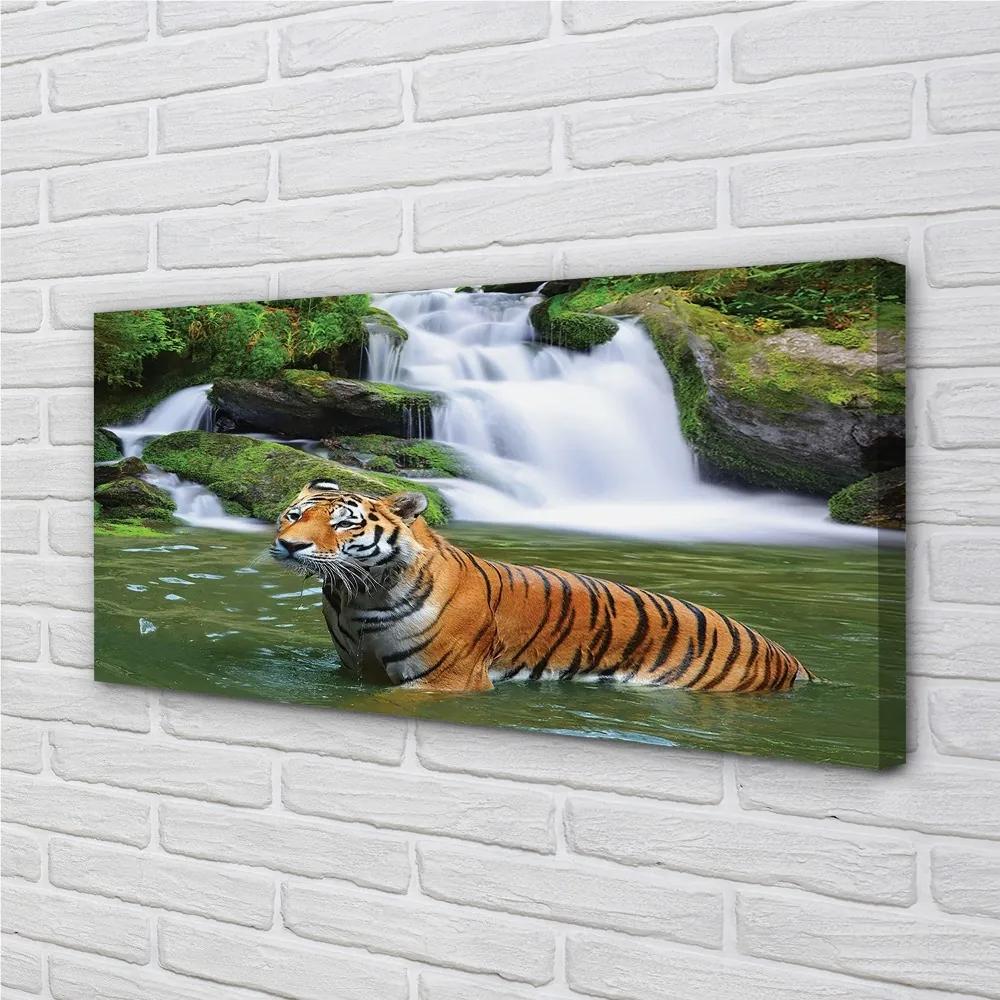 Obrazy na plátně tygr vodopád 120x60 cm