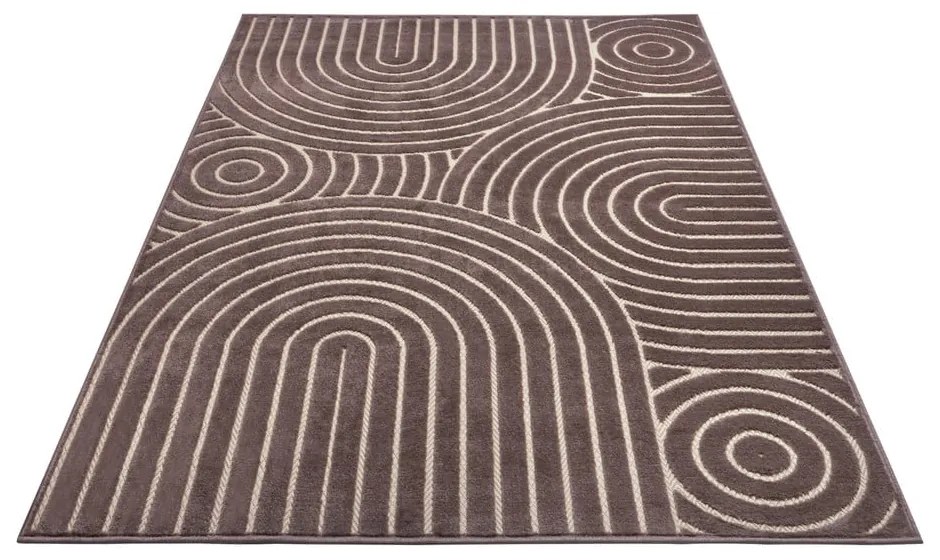 Hnědý koberec 160x235 cm Iconic Wave – Hanse Home