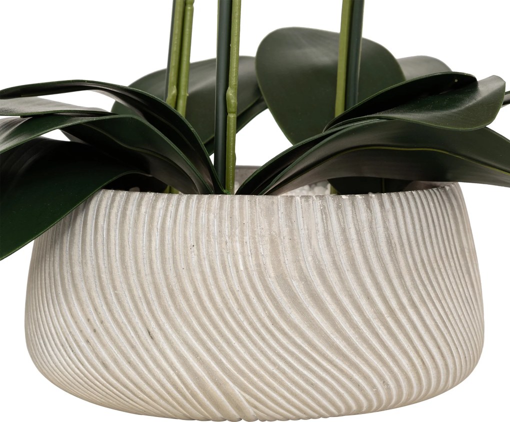 Umělá orchidej SANAE v květináči, 65 cm