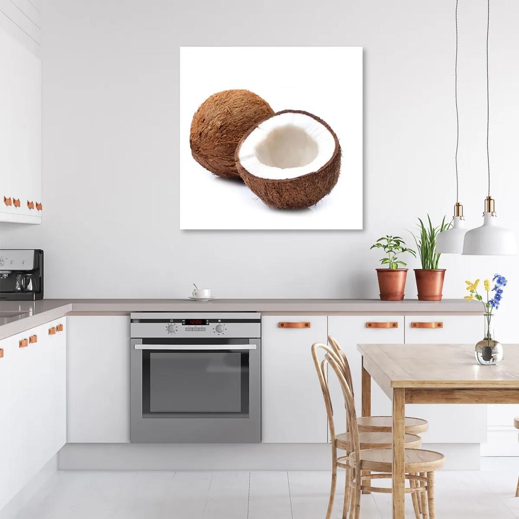 Obraz na plátně, Kokosové ovoce - 60x60 cm