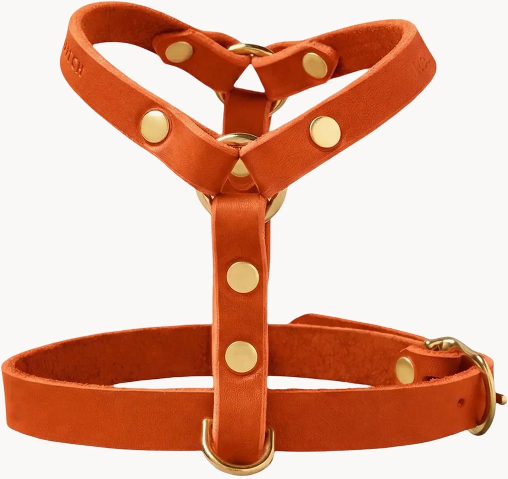 Kožený postroj pro psa Y-Harness, v různých velikostech