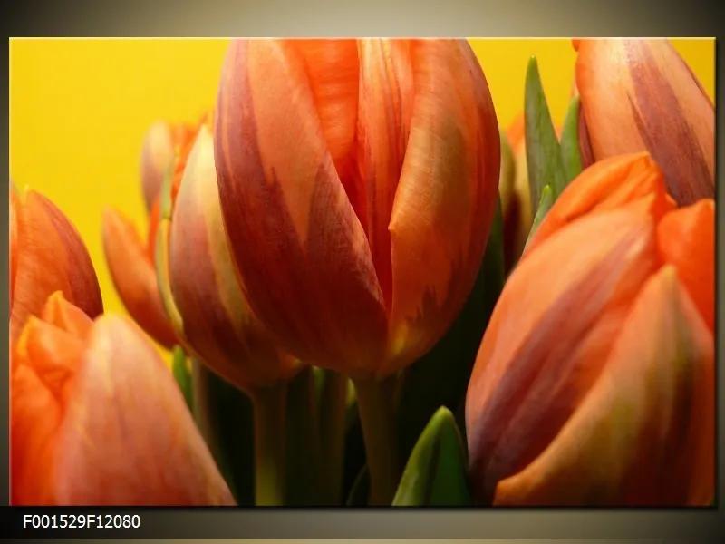 Obraz na plátně Oranžové tulipány 2, Obdélník 120x80cm 2198 Kč