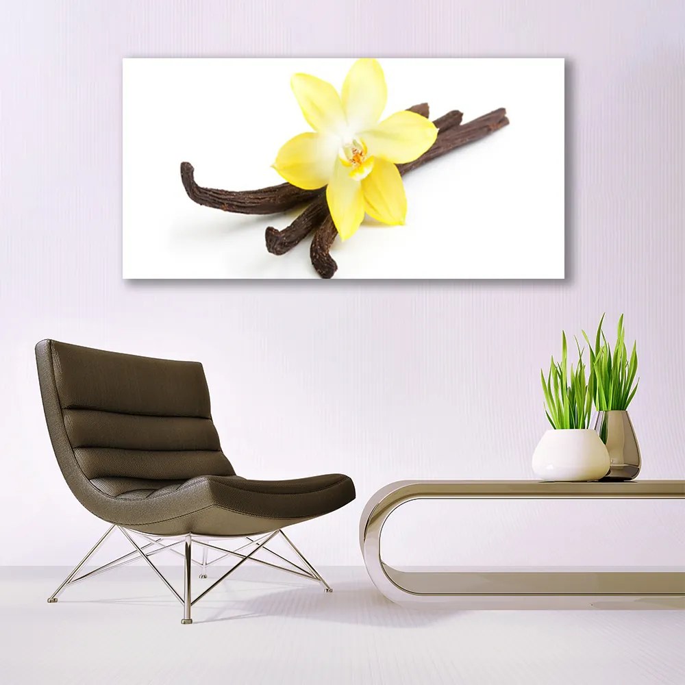 akrylový obraz Vanilka Rostlina Příroda 120x60 cm