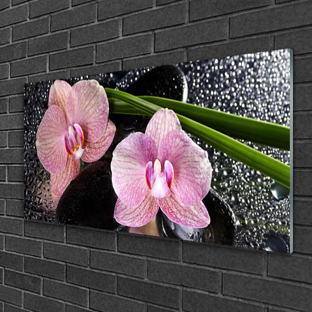 Obraz na skle Květiny Orchidej Kameny Zen 120x60 cm