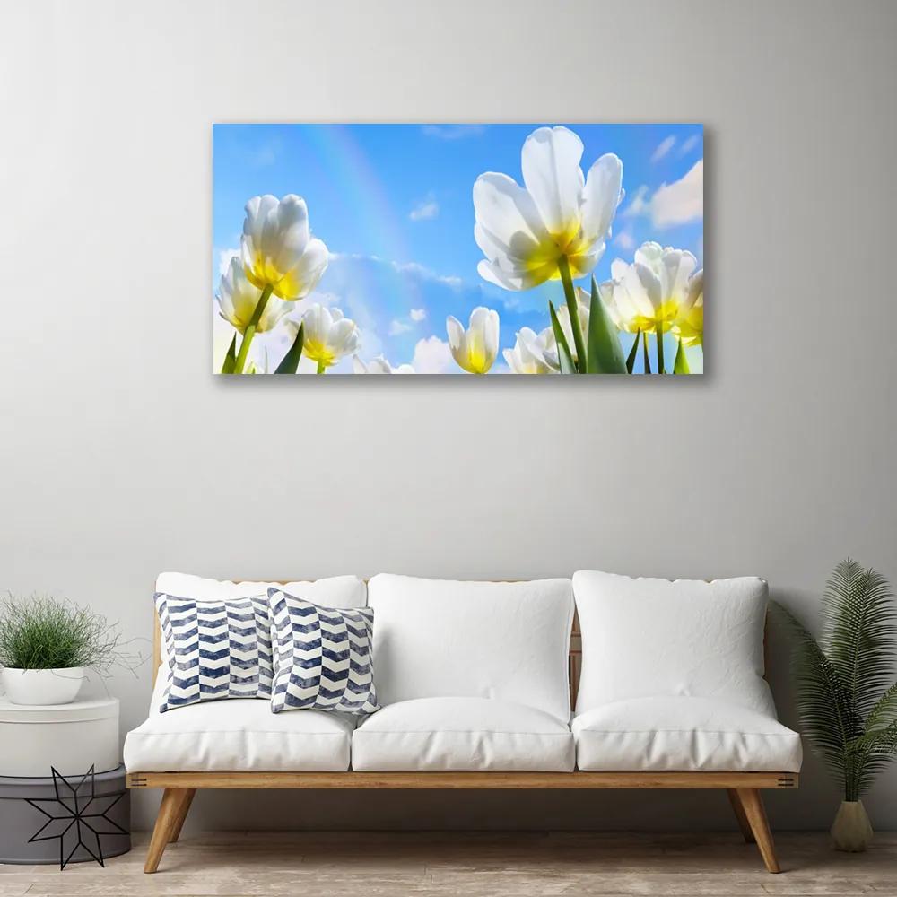 Obraz na plátně Rostliny Květiny Tulipány 100x50 cm