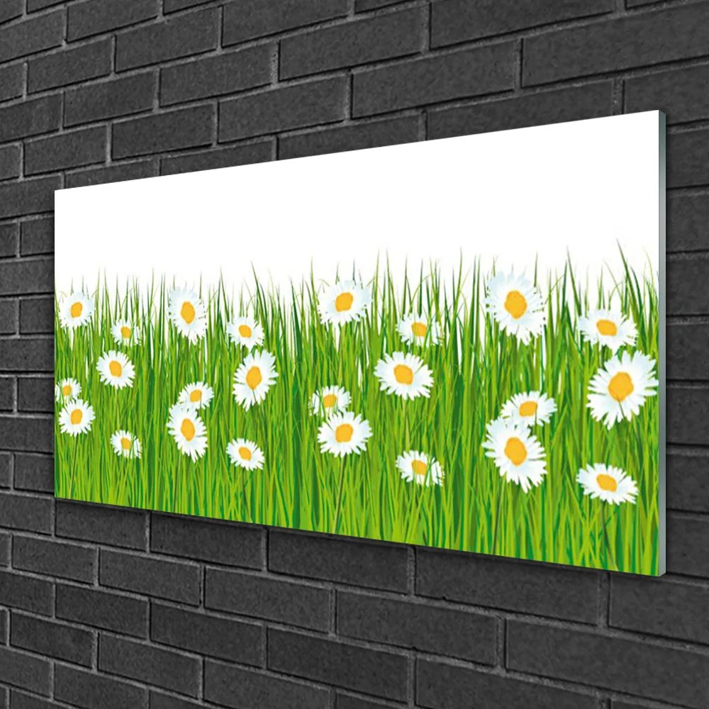 Obraz na skle Tráva Sedmikrásky Příroda 100x50 cm