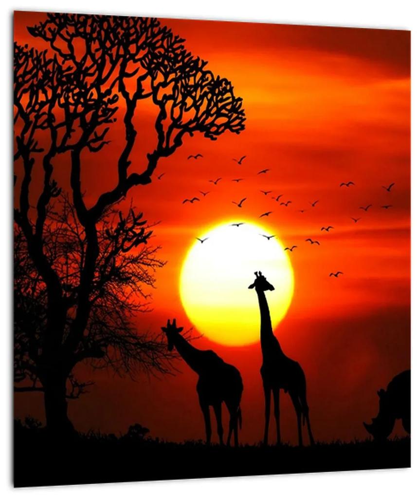 Obraz - Siluety zvířat při západu slunce (30x30 cm)