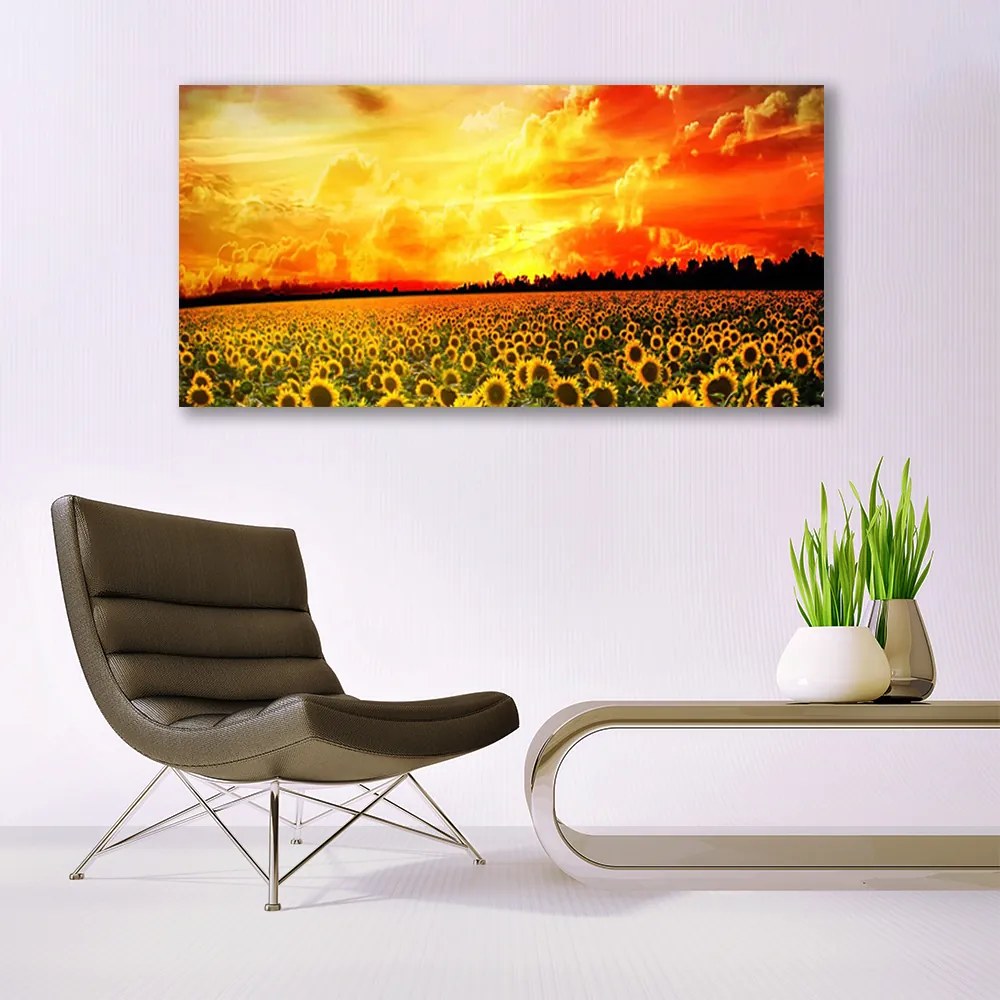 Plexisklo-obraz Louka Slunečnice Květiny 120x60 cm