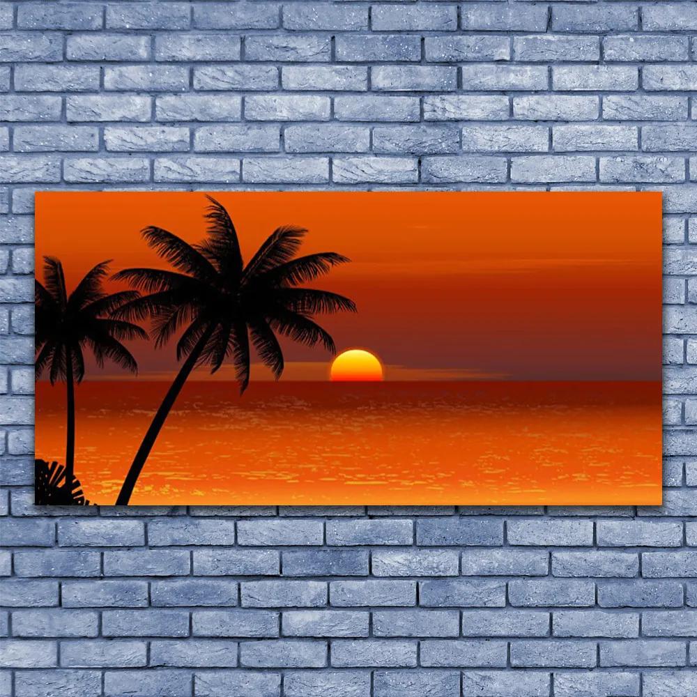 akrylový obraz Palma Moře Slunce Krajina 120x60 cm