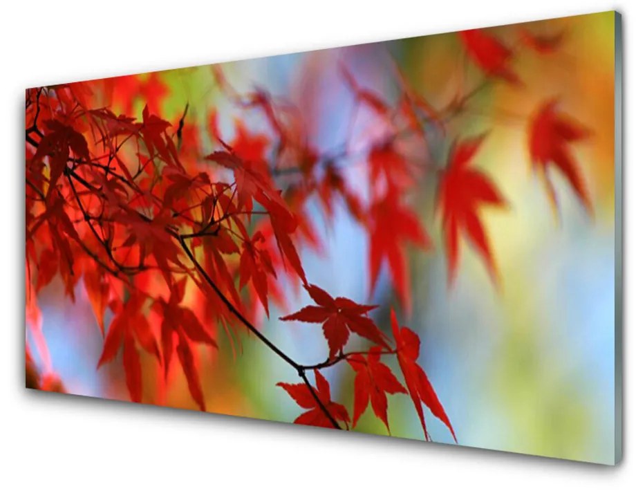 akrylový obraz Listy Příroda 125x50 cm