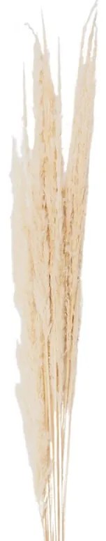 Přírodní béžová kytice sušené květy trávy – 90 cm