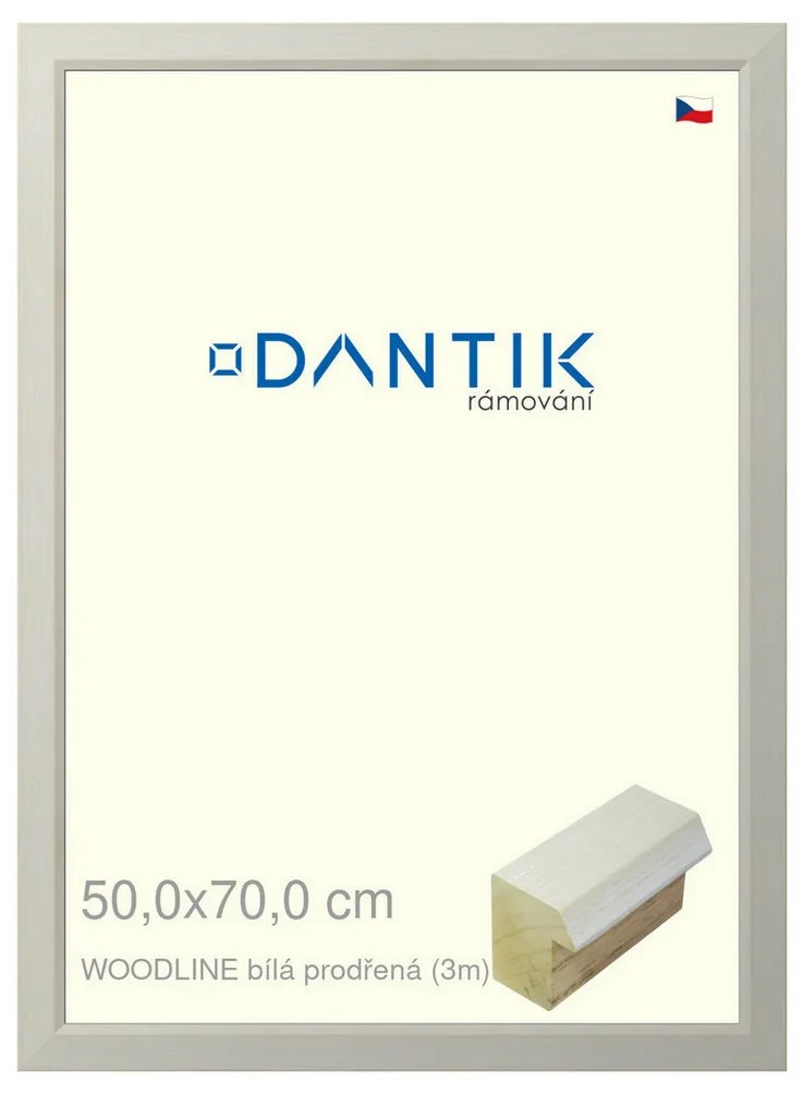 DANTIK rámeček 50x70 | WOODLINE bílá prodřená (Plexi Čiré)