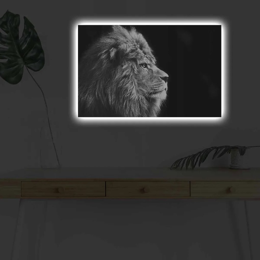 Obraz s LED osvětlením ČERNOBÍLÝ LEV 58 45 x 70 cm