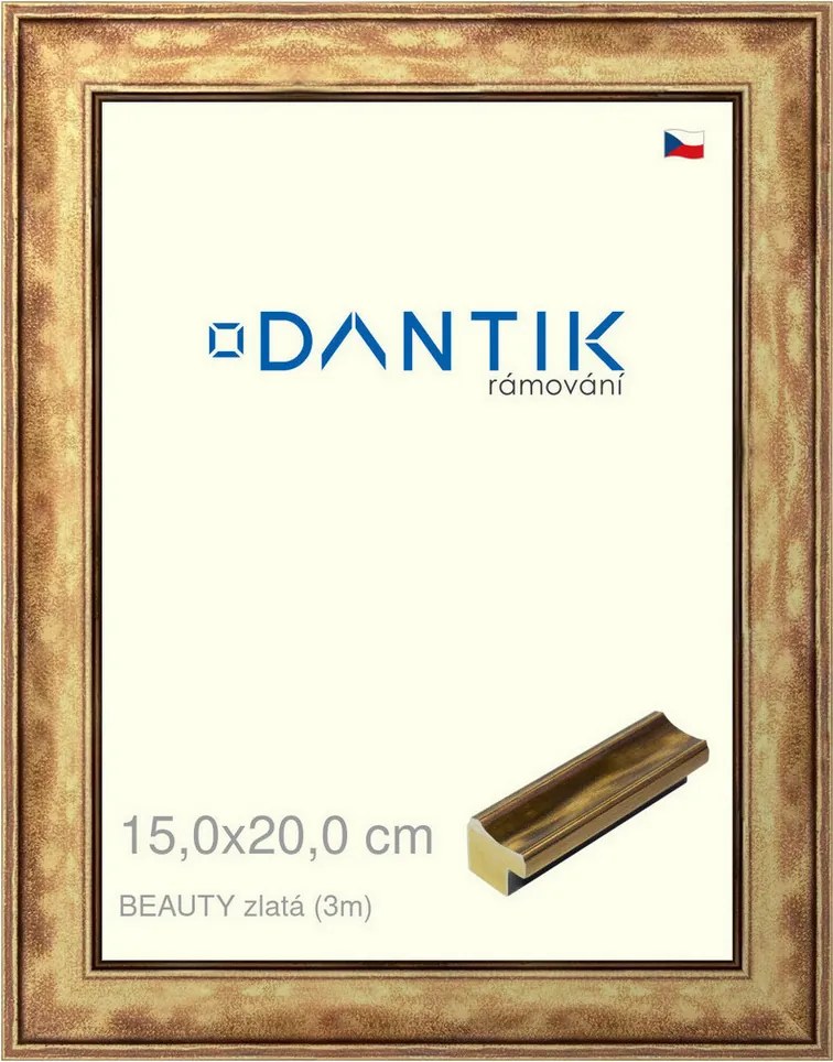 DANTIK rámeček 15x20 | BEAUTY zlatá (Sklo Čiré)